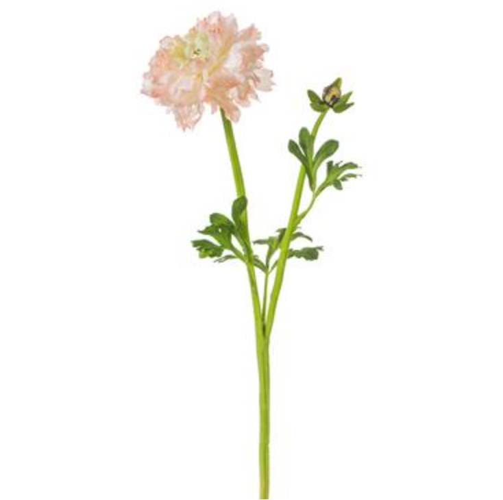 Ranunculus Spray, 19.25", Light Pink – Love That Ribbon